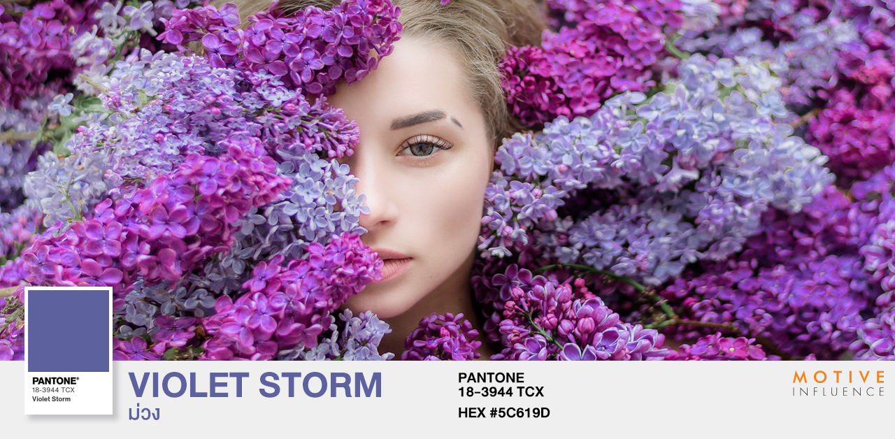 Violet Storm เฉดสีม่วง เฉดสีที่สะท้อนถึงความหรูหรา